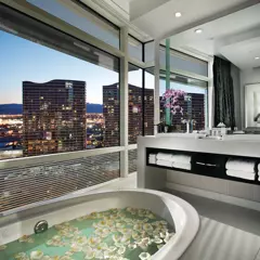 Sky Suites One Bedroom - Mountain View
